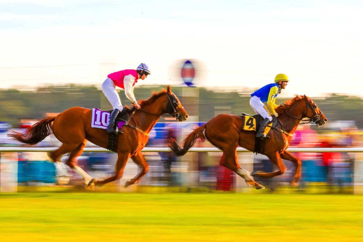 Camden Gears Up for the 50th Running of the Colonial Cup - Experience ...